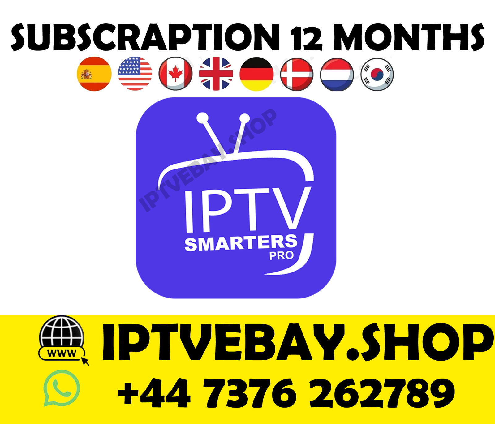 IPTV eBay 2025